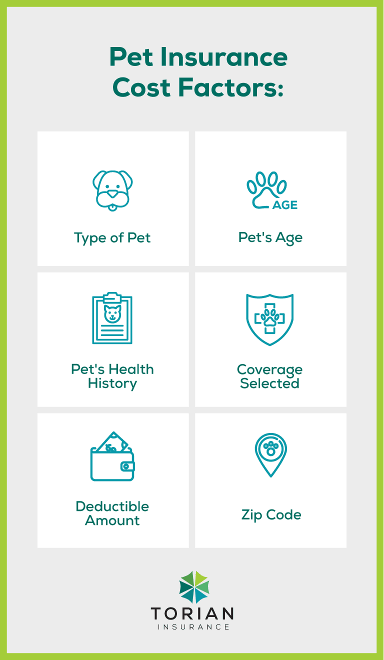 Is Pet Insurance Worth It? Your Top 10 Questions Answered