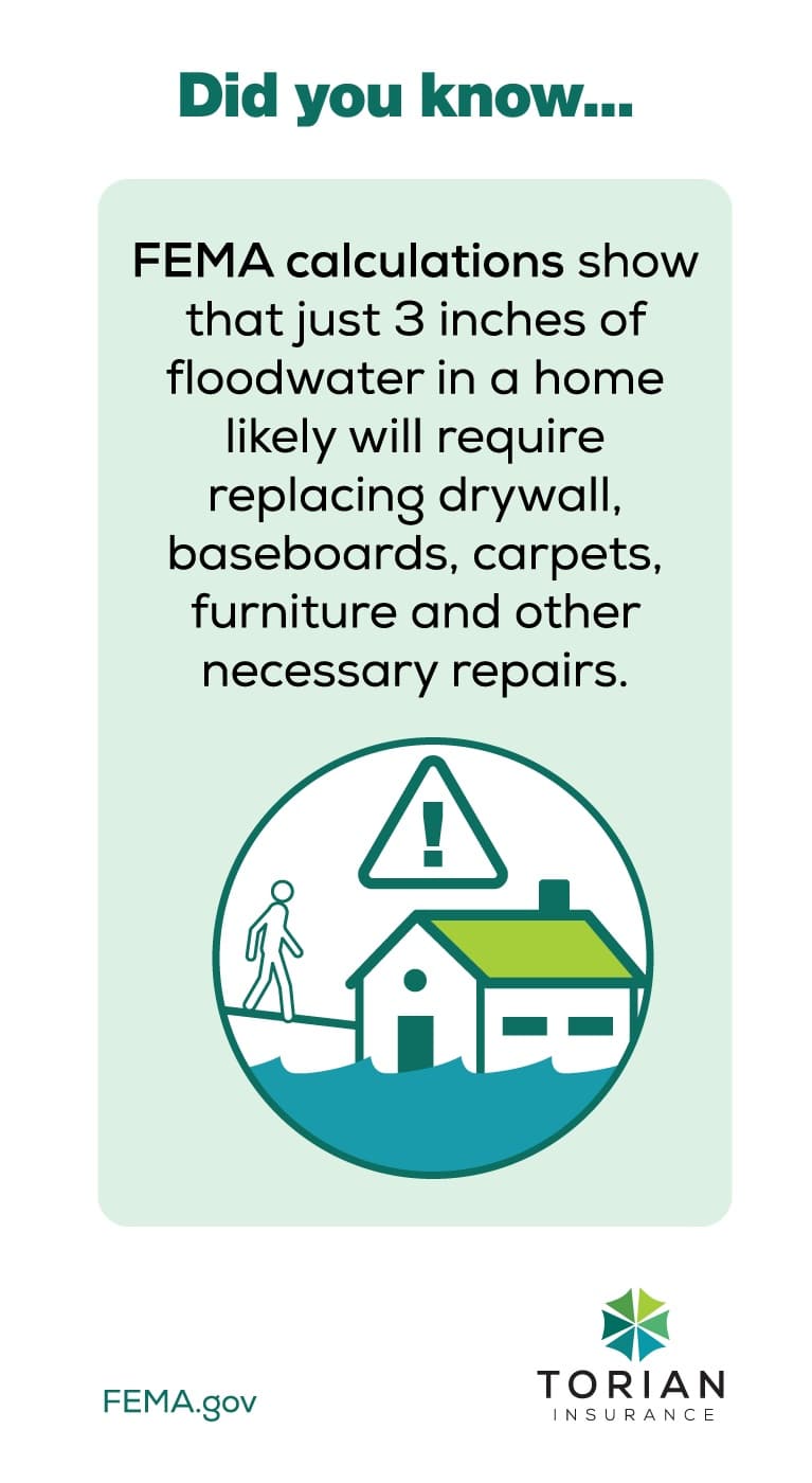 Insights into FEMA Flood Zones for Property Owners