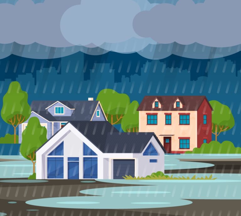 Insights into FEMA Flood Zones for Property Owners