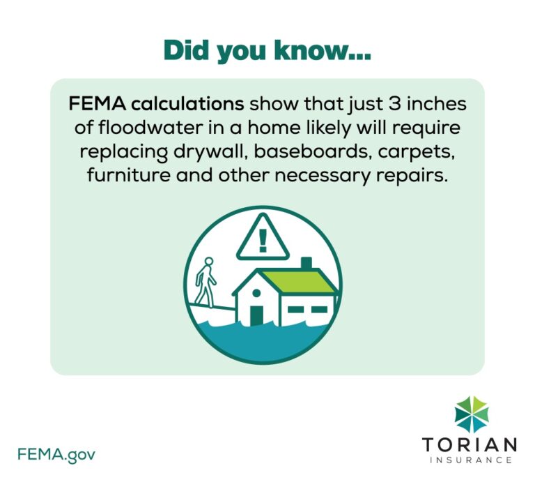 Insights into FEMA Flood Zones for Property Owners